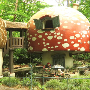 De beleving: Kabouterdorp | Efteling Fanzine